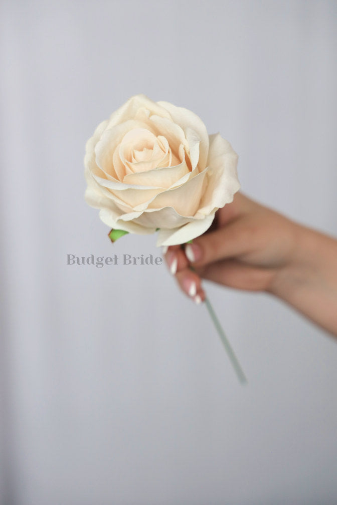 15 Champagne Rose Stems - $90.00 – Budget-Bride